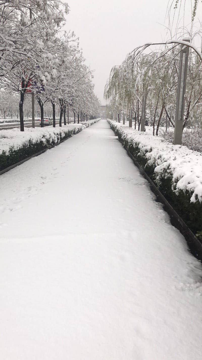 #圖 還記得我嗎💋 - B133 留言 | Dcard