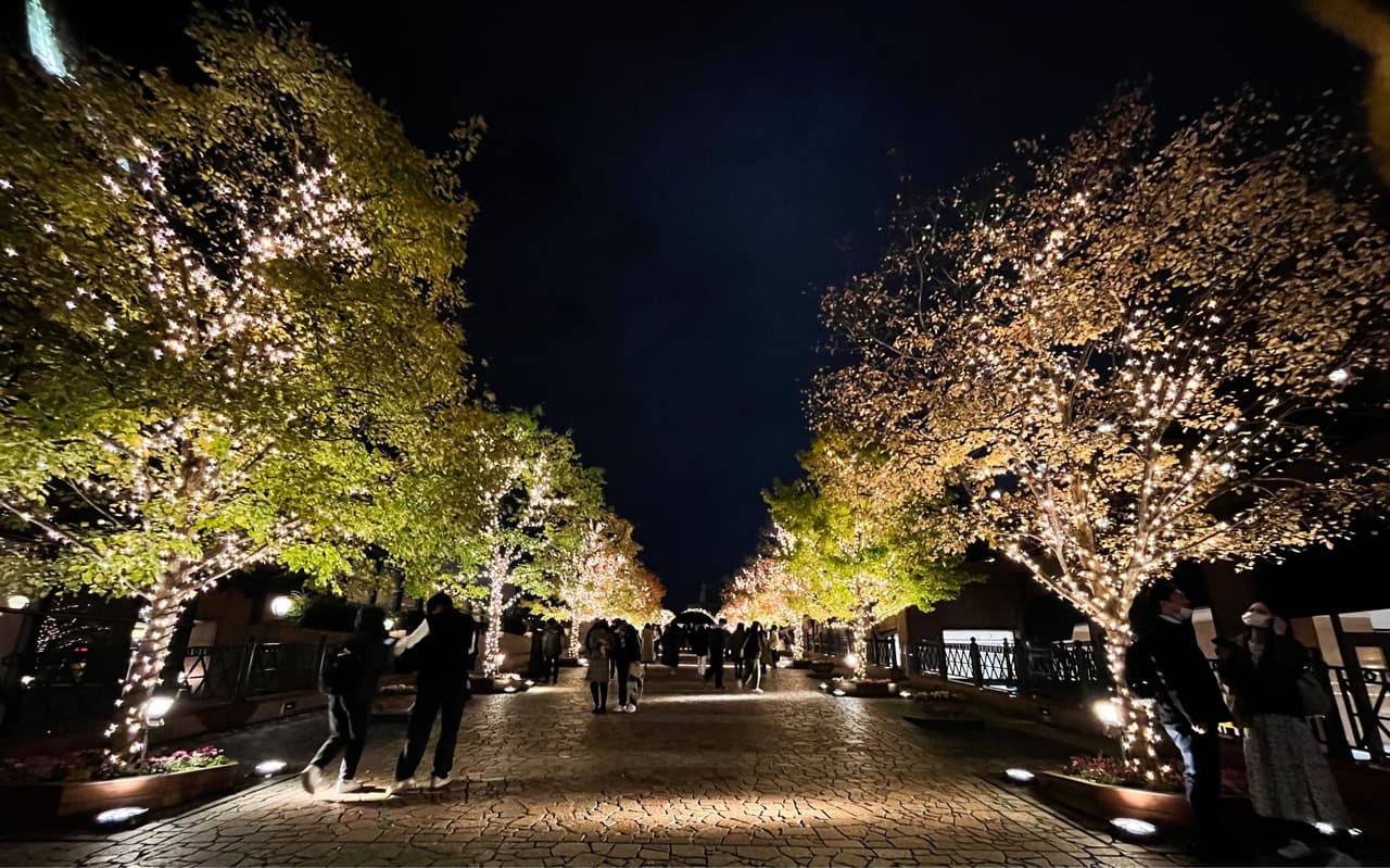 東京11月7天自由行 D4-D6 銀杏/惠比壽聖誕燈 - 日本旅遊板 | Dcard