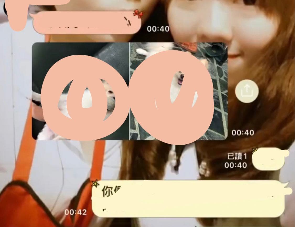 請問大家的Line主題 - B45 留言 | Dcard