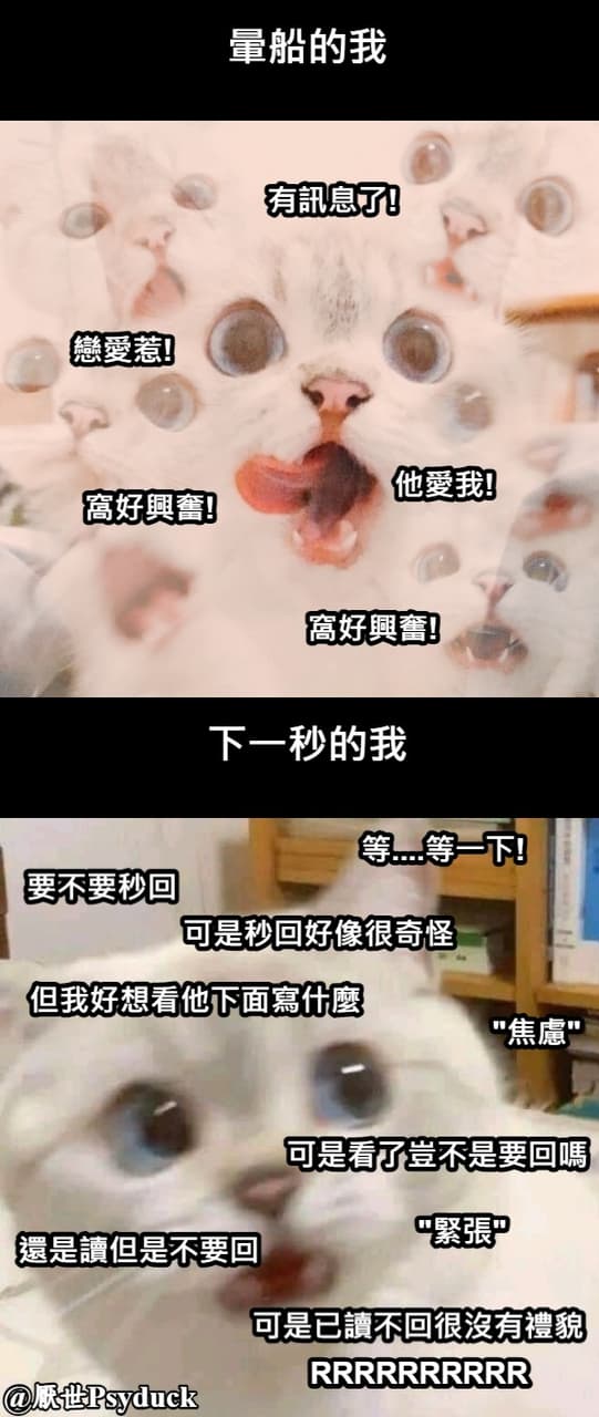 自創 暈船回訊 梗圖板 Dcard