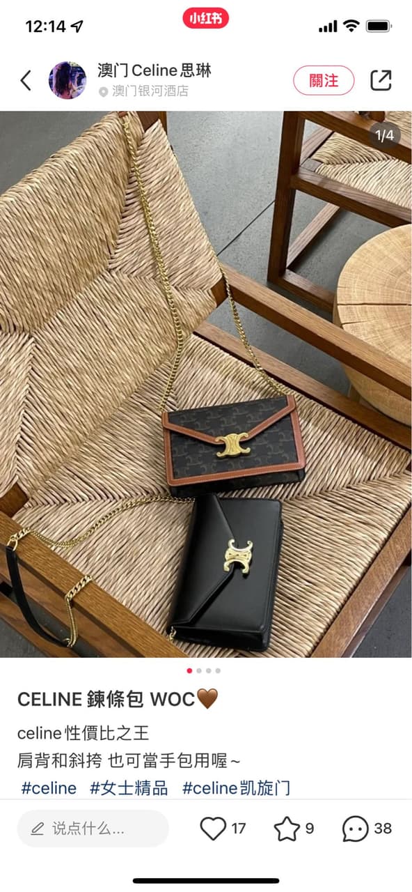 #選手 #選手 #選手 LV請易🙏 FÉLICIE POCHETTE & Celine woc - 精品板 | Dcard