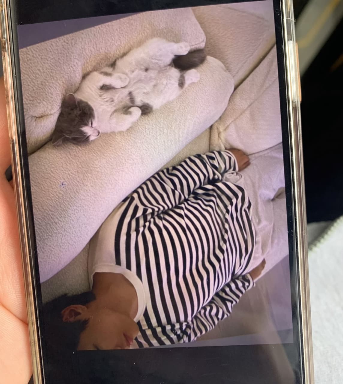 #分享 Jennie V 第四波外流 (多張） - B19 留言 | Dcard