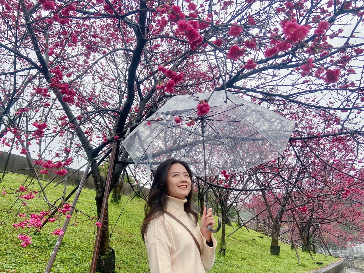 【春天賞花趣】2022台北花季 - 遊台灣。趣旅行 (@sandy_1995) | Dcard