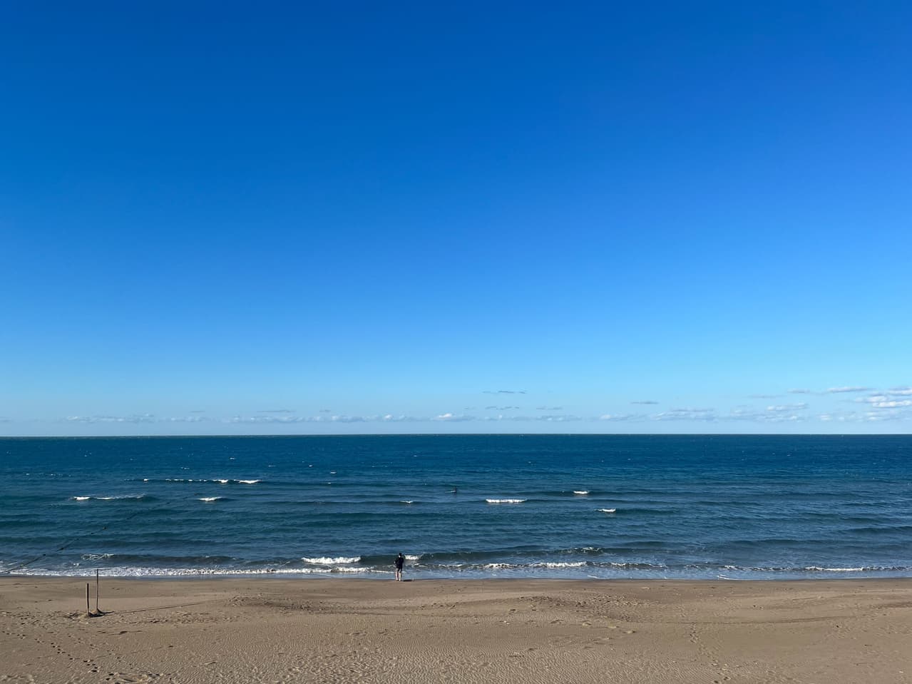 投票完後的一日遊大推薦੭ ˙ᗜ˙ )੭ - 小肥魚魚 (@smallfatfish) | Dcard