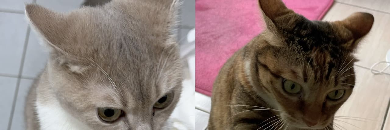 桔子探險去 (@ching5859) | Dcard