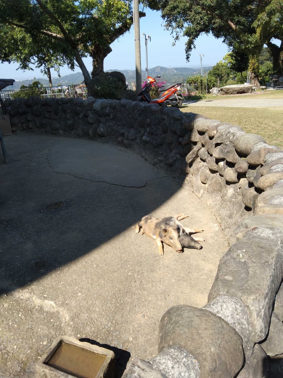 #真心話大告白 與你走過的第一個情人節 - 小刺餵 (@xzvbndd) | Dcard