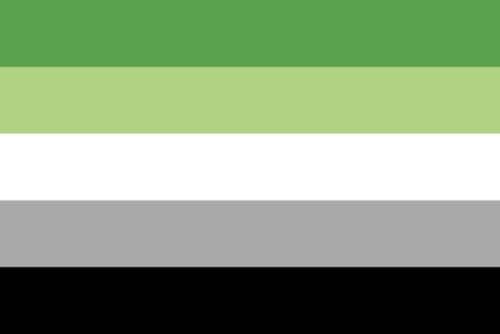 Aroace, Asexual, Demi, Sapiosexual Flags - 無性戀板 | Dcard