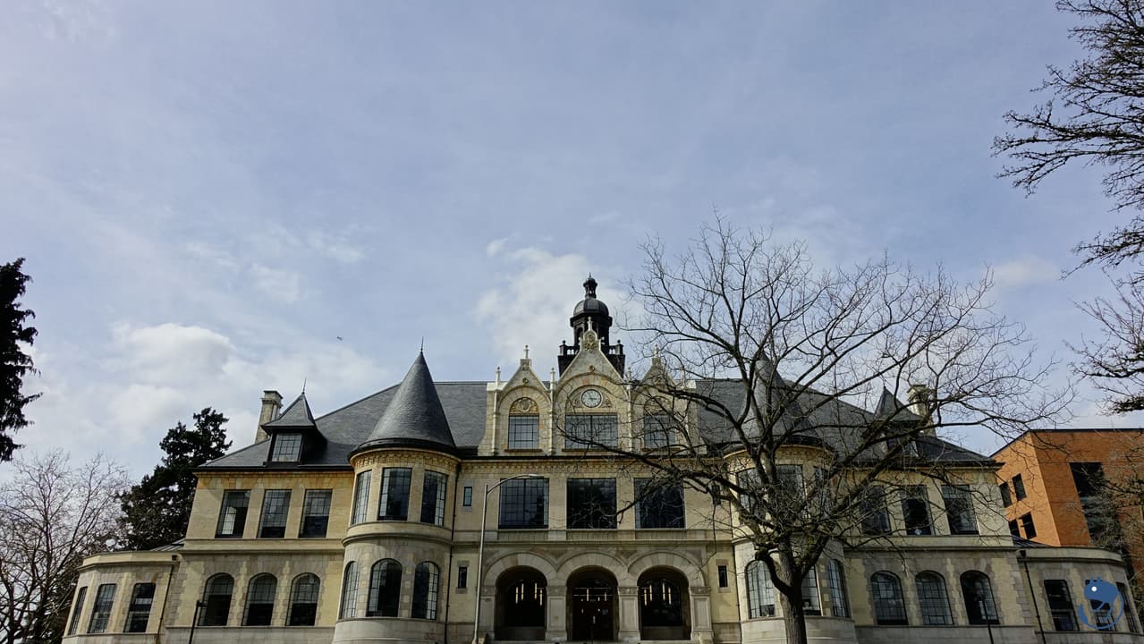 #國外遊記 美國-西雅圖|華盛頓大學櫻花季散策 - 旅遊板 | Dcard