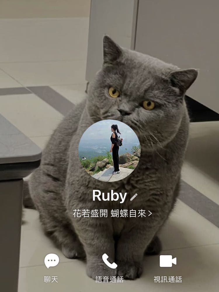 在Zoe遇到詐騙 - 彩虹板 | Dcard