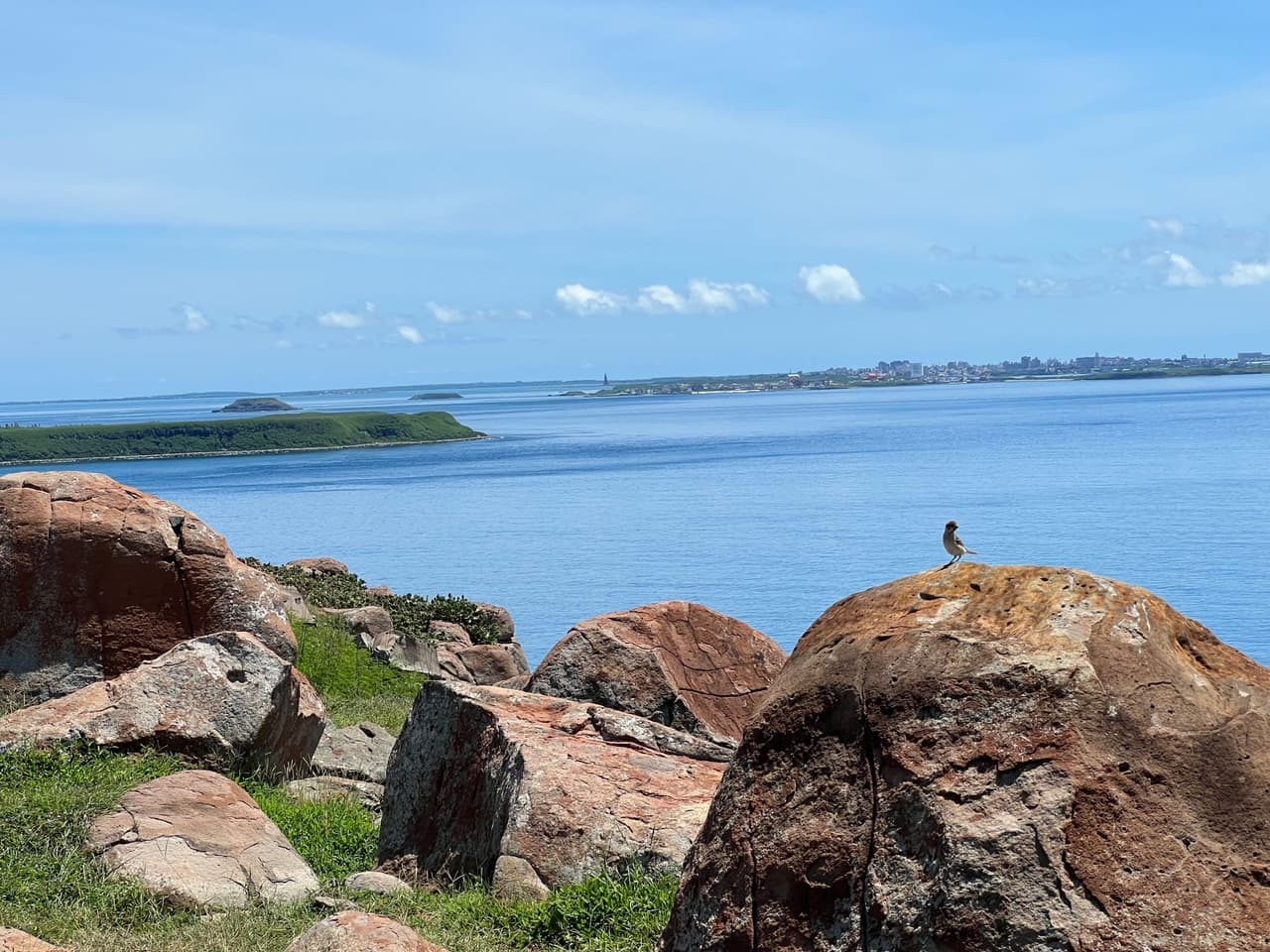 虎井，貓控的探險勝地《離島老師雜記》 - 斜角過客/出島計畫/高高 (@dpmag.xyz) | Dcard