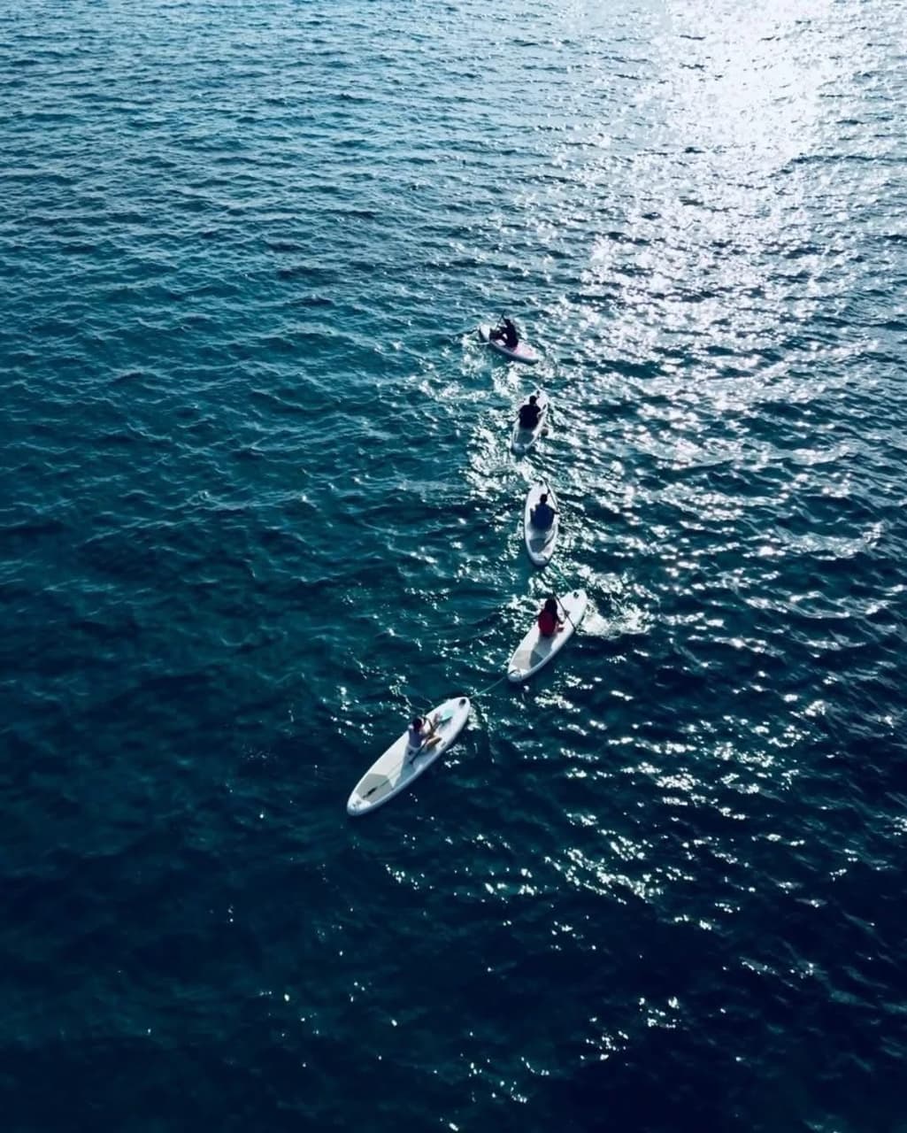 #國內遊記 Sup - 旅遊板 | Dcard