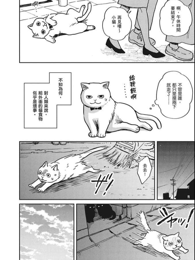 推一部貓咪漫畫>