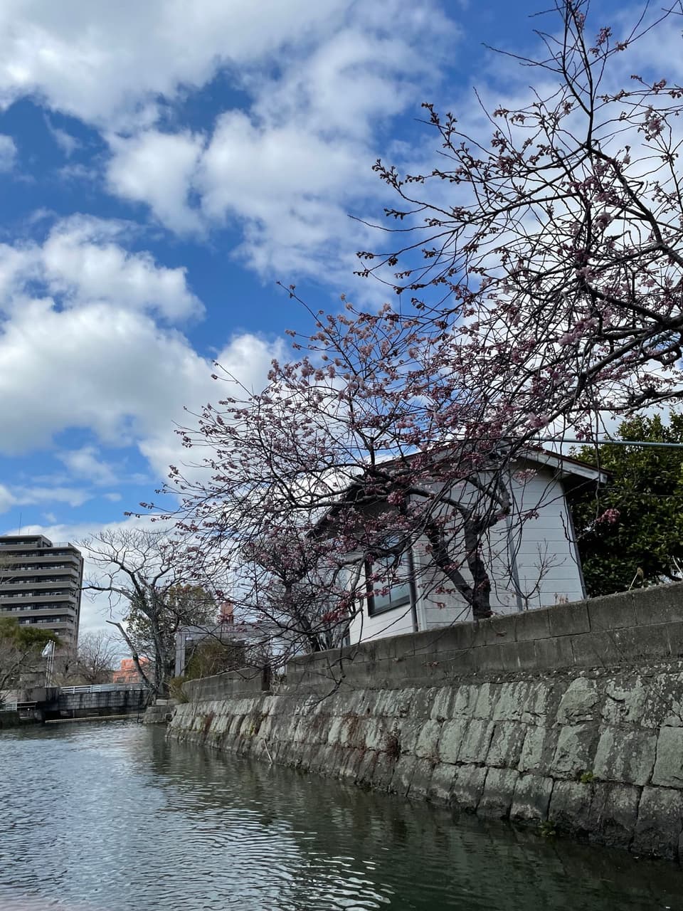 用特盛きっぷ遊福岡柳川 - 七七 (@ta_2) | Dcard