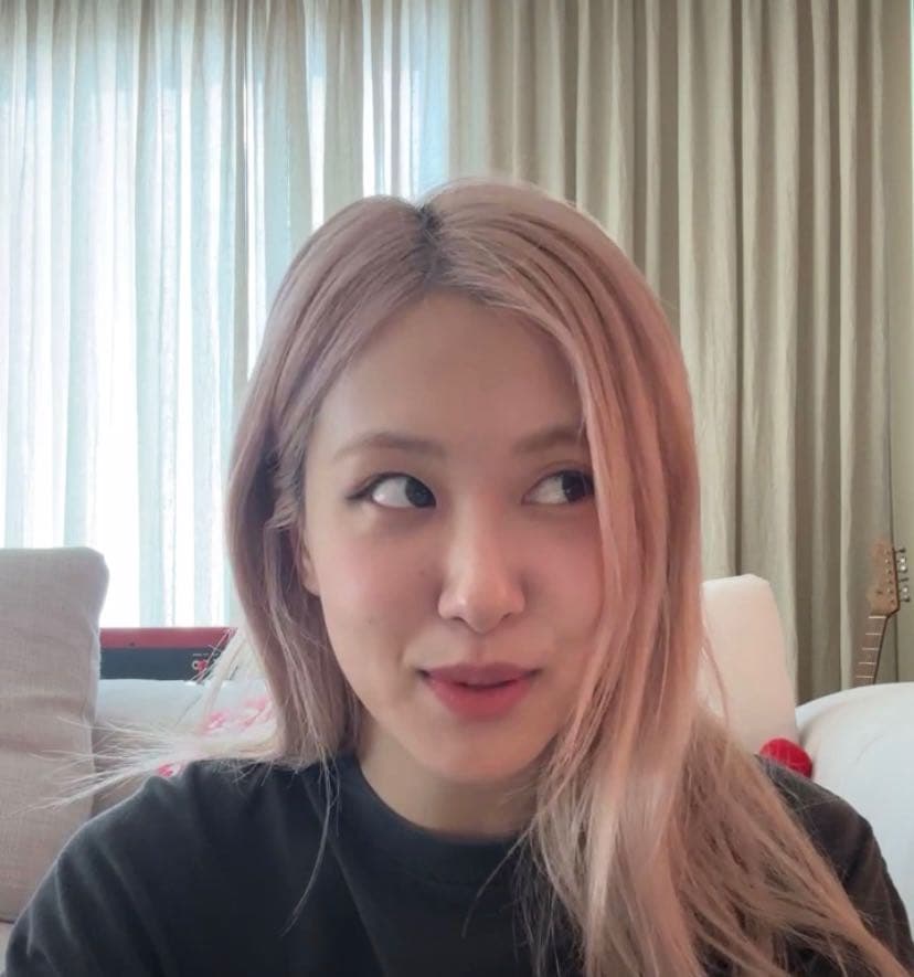 #分享 肉肉直播片段 🐿️💙 - BLACKPINK板 | Dcard