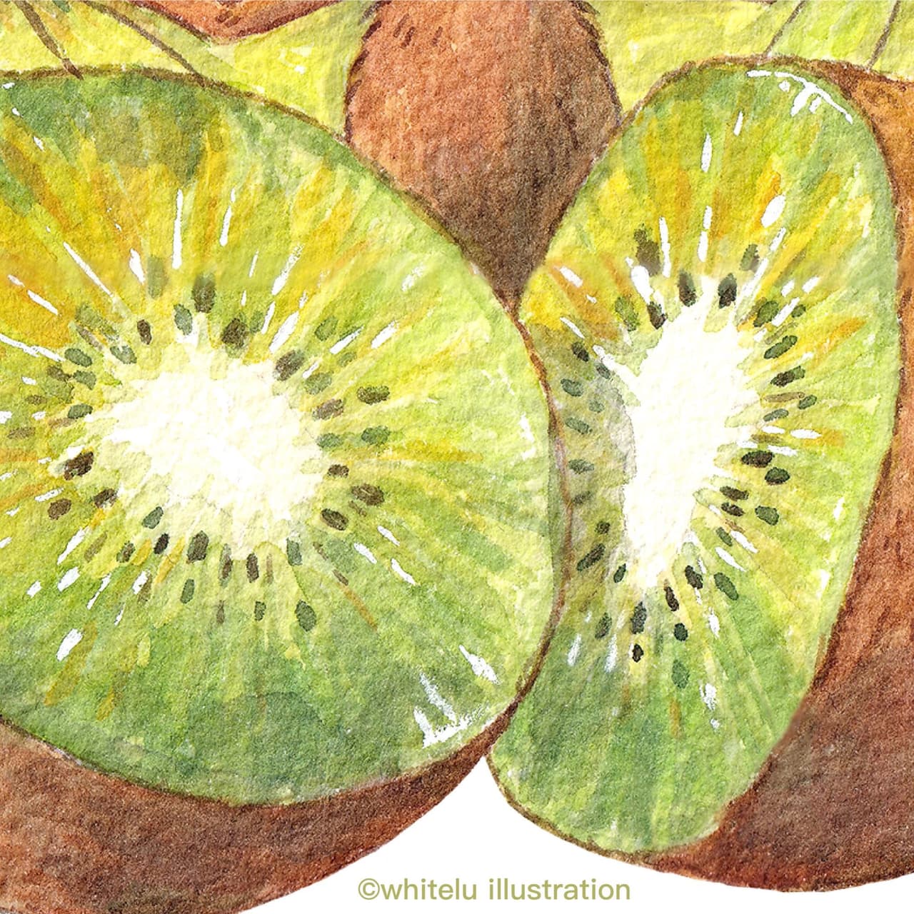 「奇異果甜甜蝠」 - 小路有畫說 (@l0428) | Dcard