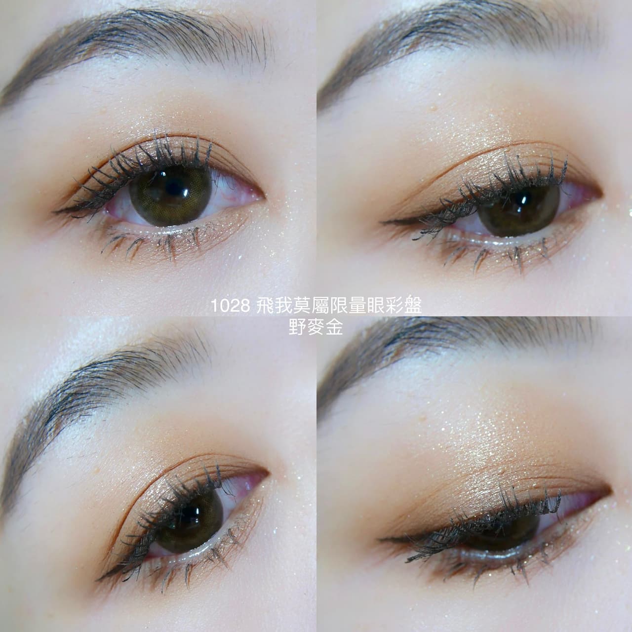 1028對不起我太小看你了!（圖多有影片） - mumu_meow (@mumu_meow) | Dcard