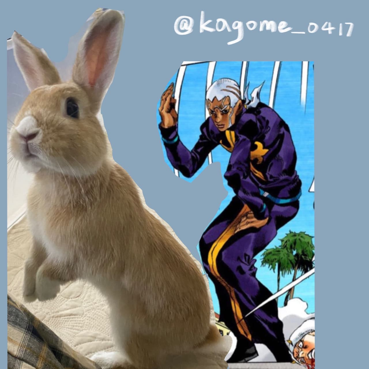 我的兔子會JOJO立 - 有趣板 | Dcard