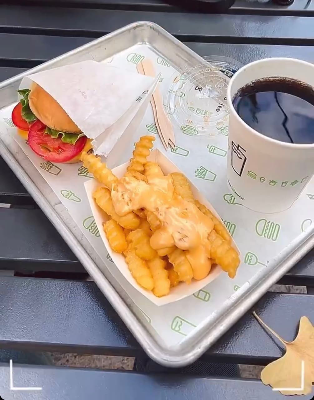 東京11月7天自由行 D4-D6 銀杏/惠比壽聖誕燈 - 日本旅遊板 | Dcard