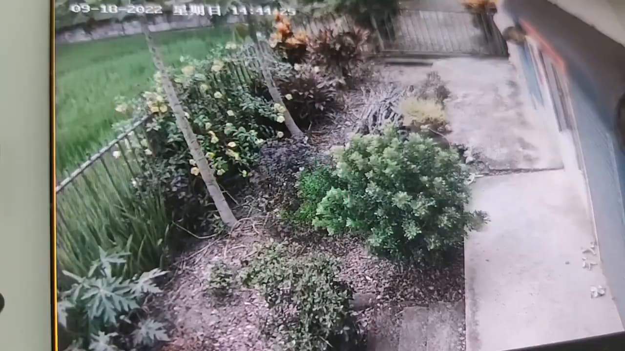 #地震影片彙整 - 我很正經 (@jack_v) | Dcard