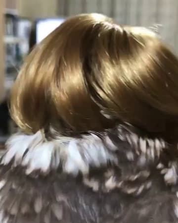 #廢片 戀愛了 - 我很正經 (@jack_v) | Dcard