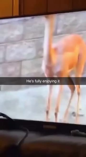 #廢片 反芻 - 我很正經 (@jack_v) | Dcard