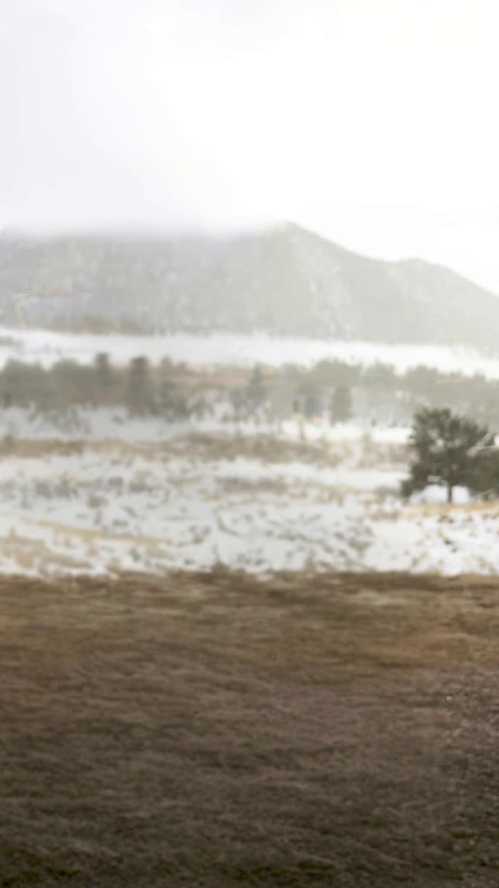 會考2A，到美國名校碩士？我曾以為成績決定我的價值 - 研究所板 | Dcard