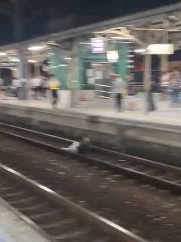 請不要在鐵軌上睡覺。。 - 路上觀察學家🔍 (@coraz) | Dcard