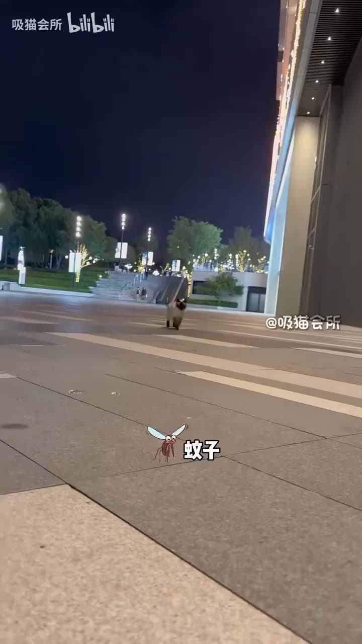 新世界無限慶典[閃。極。速]神聖曆法[第13星座] 666.DNA-PX7 日行一善。文化大革命 Day1205 貓咪百變叫聲 - 福報哥 ...