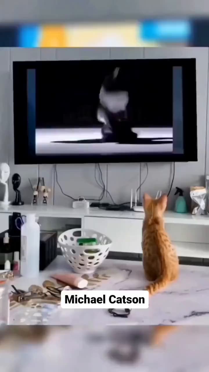 麥可·貓克森 (Michael Catson) - 有趣板 | Dcard