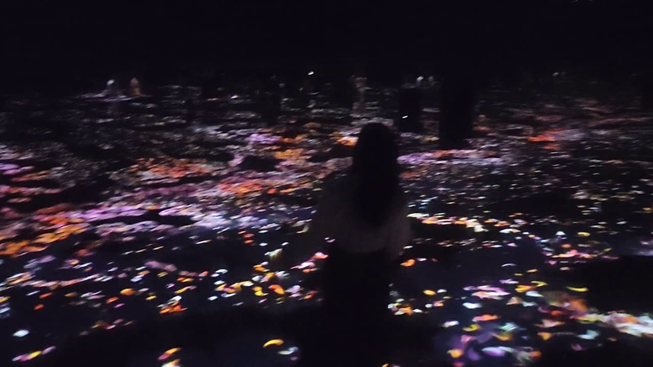 麻布台Teamlab Borderless 分享 - 日本旅遊板 | Dcard