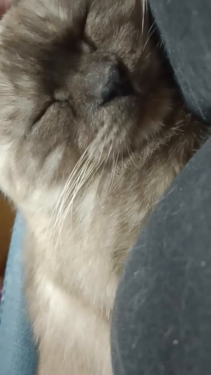 他真的很可愛啦 🥰 - 張糜糜 (@mimi_152) | Dcard