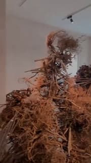 #分享 Aesop新香上市-艾底希思Eidesis - 香氛板 | Dcard