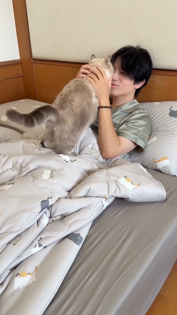 ⛅️澎澎雲朵被｜軟綿綿開團中 ️留言+1吧～ - 梅森 Maysun (@maysun_boy) | Dcard