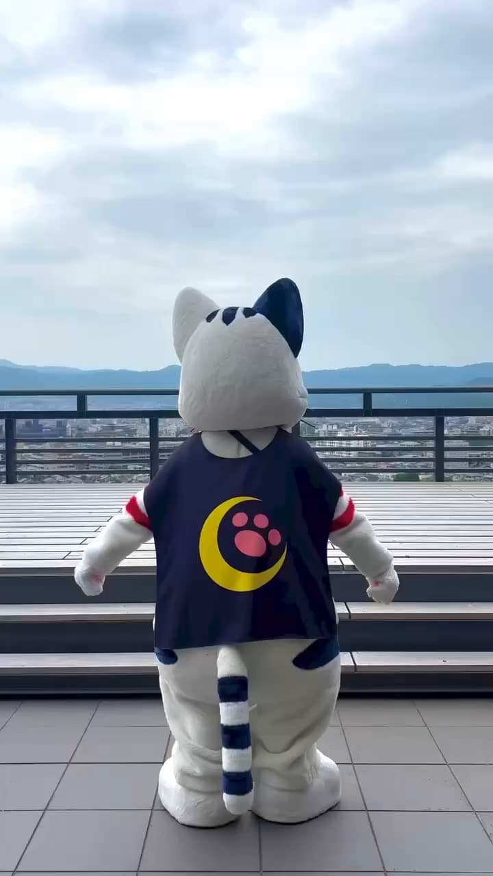 眺望 - 貓月 (@nyanrou_neko) | Dcard