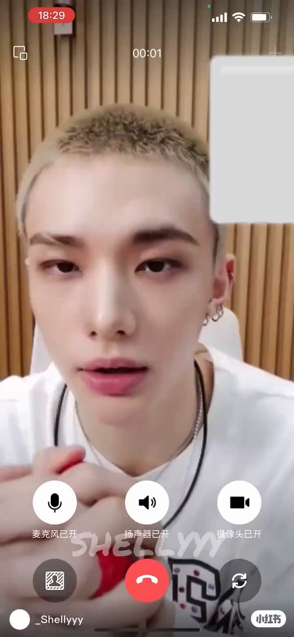 鉉辰📁2025/1/10 KMS視訊簽售 - 🥟李察雪貂餃 ️ (@pigpigjane) | Dcard