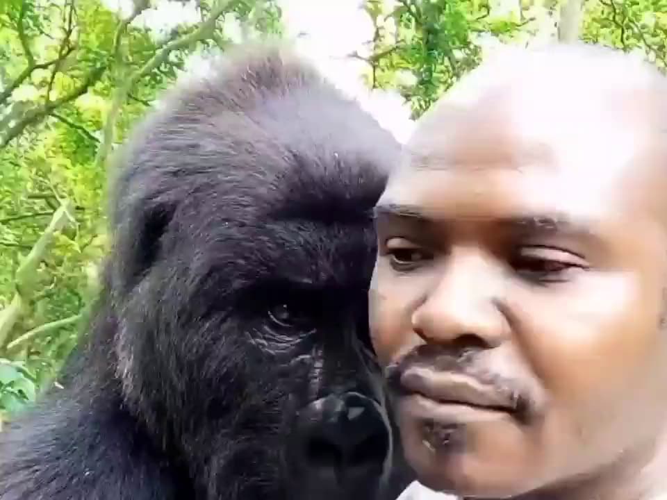 我老婆比較害羞一點 - 路上觀察學家🔍 (@coraz) | Dcard