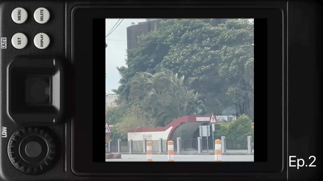 蕭女子的創業模擬市民：從零開始的經營日常 ep.2 - 閒聊板 | Dcard