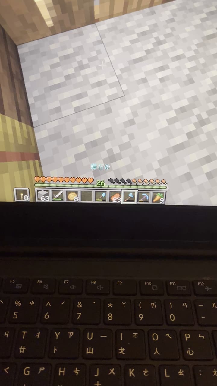 #發問 Minecraft物品欄一直切換⋯（已解決） - Minecraft板 | Dcard