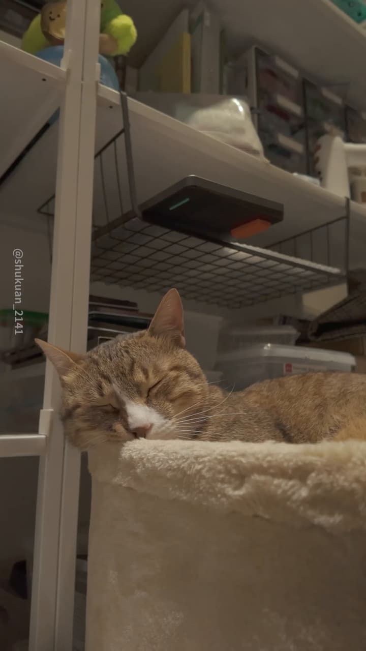 下雨天 - 樹寬日常 (@amber_yang) | Dcard