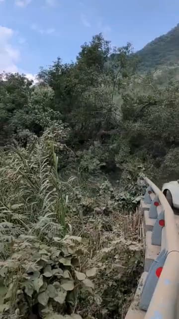 #地震影片彙整 - 我很正經 (@jack_v) | Dcard