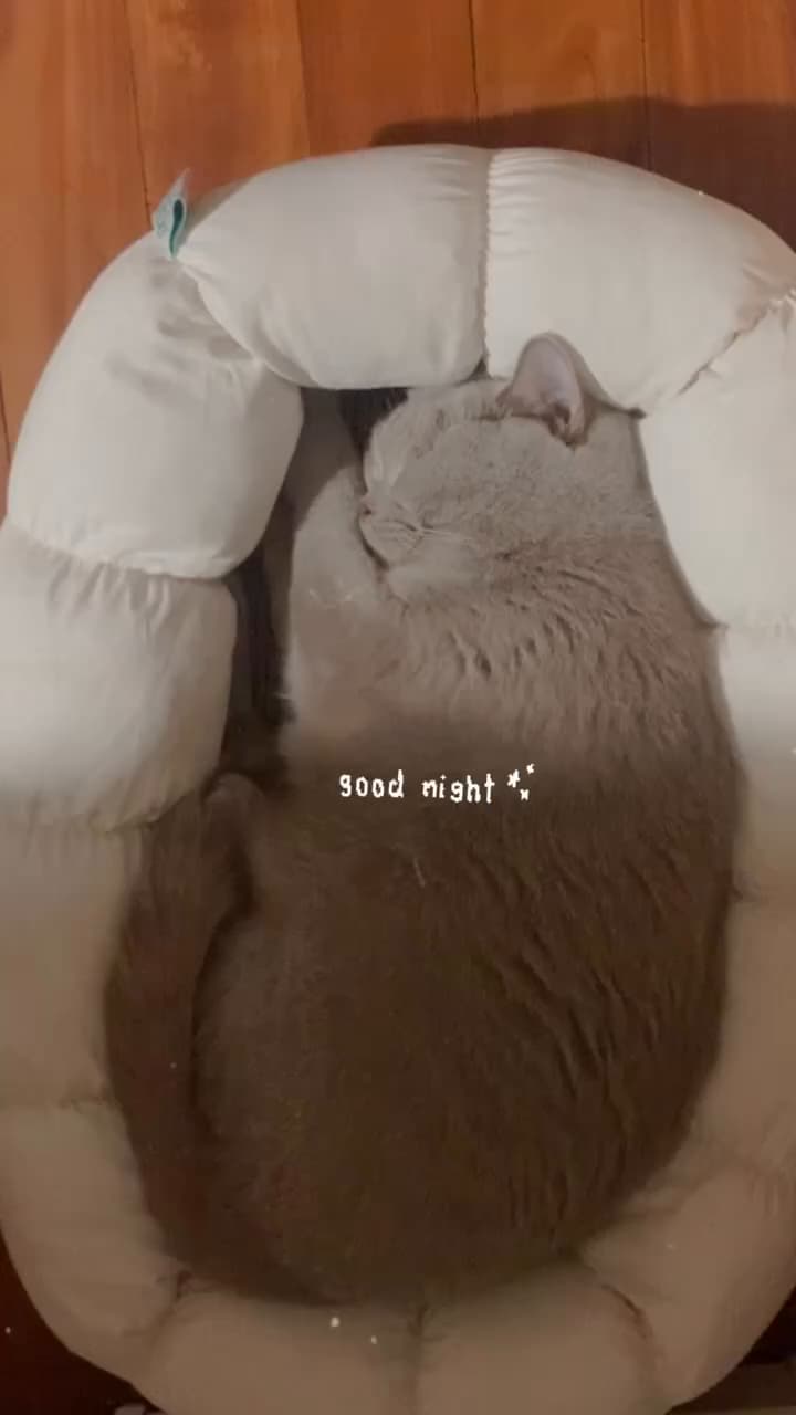 暖暖過冬 ️ - 安安 (@sabrina357) | Dcard