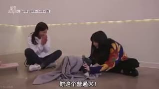 #分享 Jisoo x Dalgom 寵物開花舞挑戰 - BLACKPINK板 | Dcard