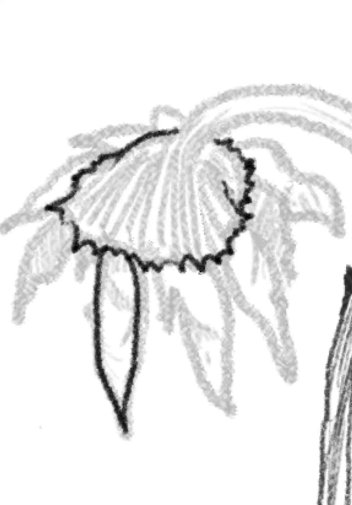 「誒！隨便幫我畫一張啊！」 - 插畫師Yu-Ming (@artbyyumingh) | Dcard