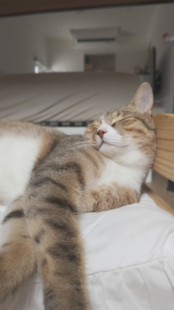 撞色美少年登場💥 - 樹寬日常 (@amber_yang) | Dcard