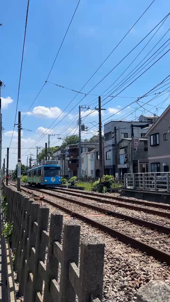 東京八天七夜紀錄-Day5 - 日本旅遊板 | Dcard